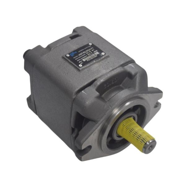 Quality HG1 Fixed Displacement Hydraulic Internal Gear Pump HG1-25 HG1-32 HG1-40 HG1-50 for sale