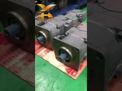 A11VO Replacement Rexroth Hydraulic Piston Pump China Manufacturer