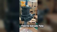 View Rexroth Axial-Piston Pump A7VO160EP Hydraulic Main Piston Pump Demo