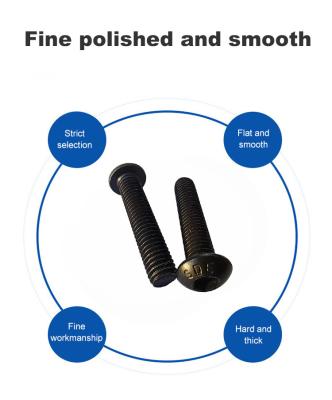 China Fully Thread Black Oxide Hex Screw with High Tensile Strength Design for sale