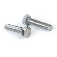 China Titanium Stainless Steel Hex Head Bolt and Nut for Customized Distribution for sale