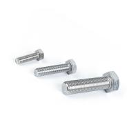 China Titanium Stainless Steel Hex Head Bolt and Nut for Customized Distribution for sale