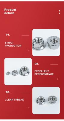 Cina 100% controllato DIN acciaio inossidabile Hex Flange Noce con serrated su misura in vendita