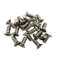 China Full Thread Type Anti-theft License Plate Socket Head Torx Security Screw with Pin for sale