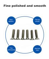 China Full Thread Type Anti-theft License Plate Socket Head Torx Security Screw with Pin for sale