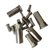 China Stainless Steel Semi-Hex Blind Threaded Rivet Nut M3-M12 Grade for Performance for sale