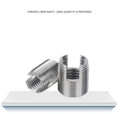 China Self Tapping Slotted Screw and 2024 Stainless Steel Threaded Repair Insert for Metal for sale