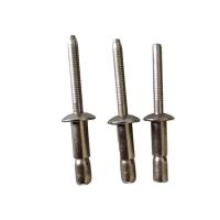 China Item name Customized Anlock Type Blind Rivets Iron Rivets with Different External lock for sale
