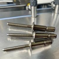 China Item name Customized Anlock Type Blind Rivets Iron Rivets with Different External lock for sale
