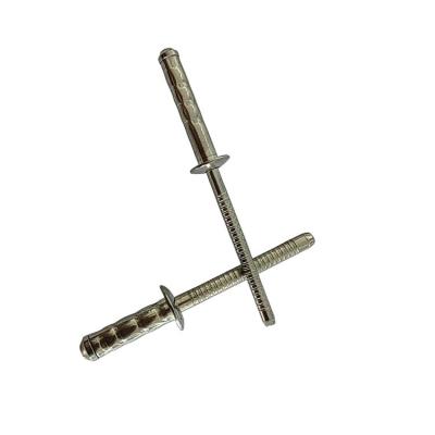 Cina Controllo Rivette cieche in acciaio inossidabile 3,2 mm 4,0 mm 4,8 mm 6,4 mm doppio tamburo testa rotonda in vendita
