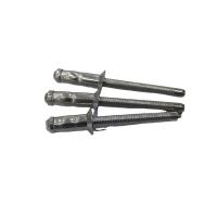 China Range Inspection Stainless Countersunk Head Pop Rivet Blind Rivet with Customization for sale