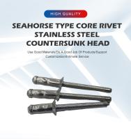 China Range Inspection Stainless Countersunk Head Pop Rivet Blind Rivet with Customization for sale