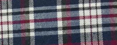 China Yarn Dyed TC Check Shirting Fabric Multi Color 120gsm Men Shirts Fabric for sale