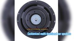 Wholesale high-quality 20-inch car, home, and outdoor speakers; customization available.