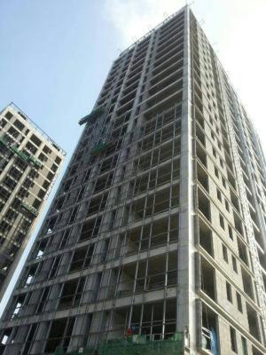 China Malyasia Gondola / construction facade cleaning / electric suspended platform for sale for sale