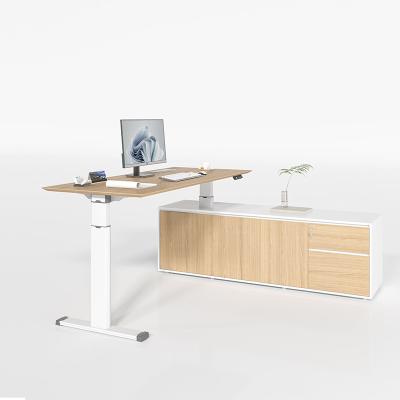 China Electric Office Desk Dual Motor Stand Desk Up Height Adjustable Table for sale