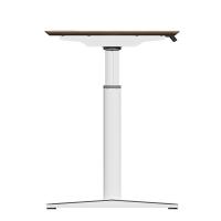 China Melamine Board Materials Standing Table Electric Height Adjustable Computer Desk for sale