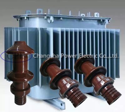 Cina OEM standard della boccola della porcellana del trasformatore di BACCANO 10000V 10NF250 disponibile in vendita