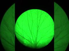 PVS7 Super 2nd+ Binoculair Monoculair Nachtzichtsapparaat met laag licht