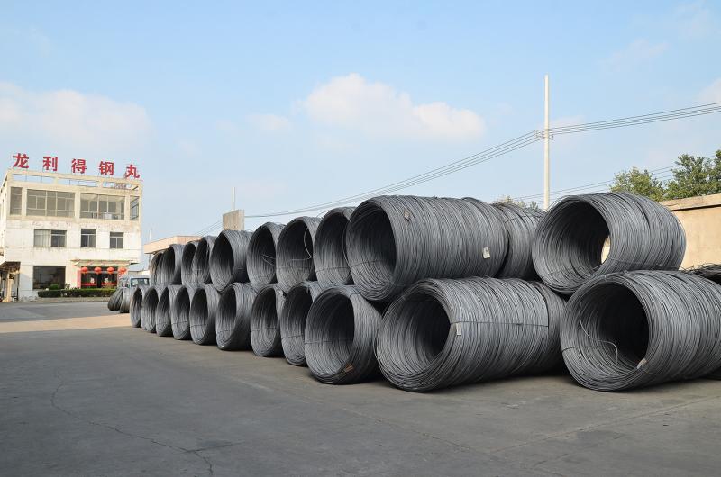 Fornitore cinese verificato - Taizhou Longlived Metal Products Co., Ltd.