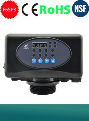 China Runxin Automatic Softner Control Valve F65P3 Multi-function Softner Valve for sale