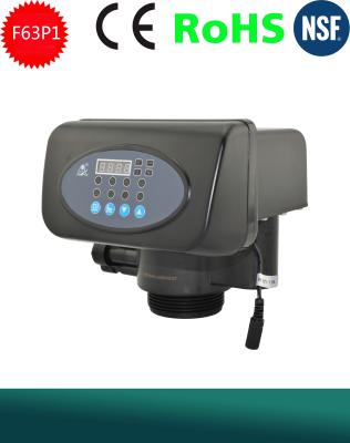 China F63P1 4m3/h Runxin Automatic Time Control Softner Valve Multi-function Softner Valve for sale