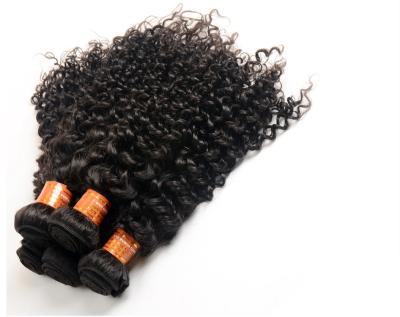 China top grade exotic hair DHL Fedex fast delivery minimum shedding 100% Brazilian virgin hair bulk for sale