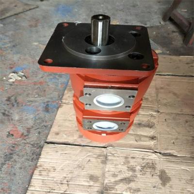 China CBZ Series CBZ2080/2080 CBZ2080/2063 Hydraulic Gear Pump For Crane for sale