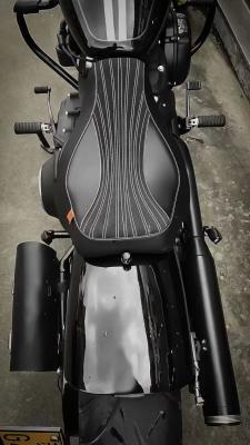Cina INCA Personalizzazione Motociclo nuovo Fender posteriore FD015 Adaptazione:2018-2023 Softail/Street Bob 225 in vendita