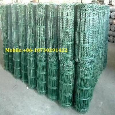 China PVC coated garden fence for sale