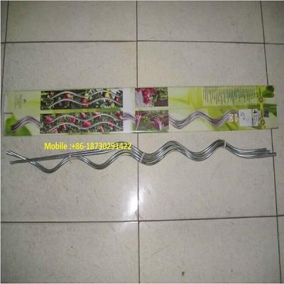 China Factory Supply good quality Tomato Spiral Wire for sale