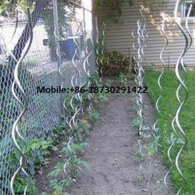 China Factory Supply good price  Tomato Spiral Wire for sale