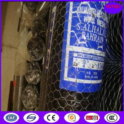 China Hexagon Wire Netting Factory for sale