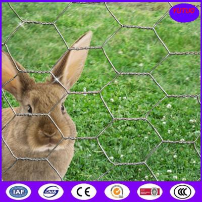 China 19 Gauge 36 inch x 100 foot x 2 inch Galvanized Chicken Wire Mesh Dingzhou for sale