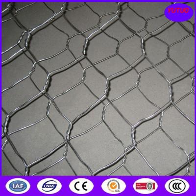China 1"*2m White Chicken Wire Mesh for sale