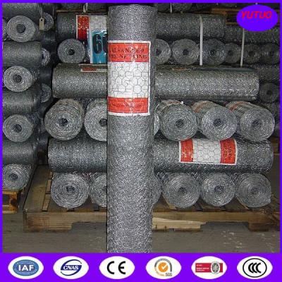 China American Stucco Wire Netting (High Quality&Competitive Price) for sale