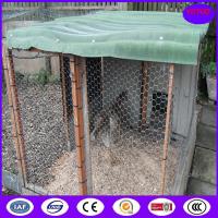 China PVC Coated & Galvanized Chicken Hexagonal Wire Mesh for sale