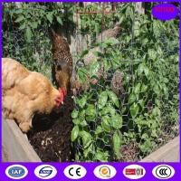 China Poultry Wire Net for sale