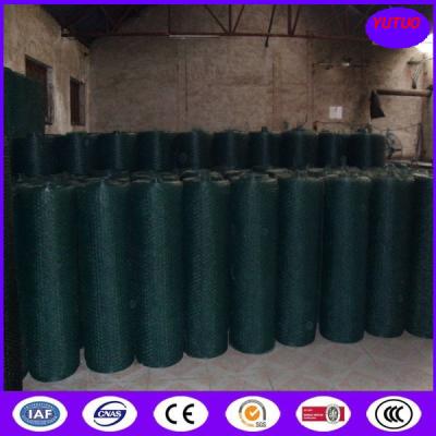 China Plastic Chicken Wire Mesh for sale