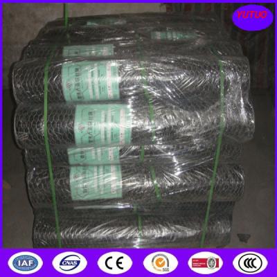 China Chicken wire factory with good price