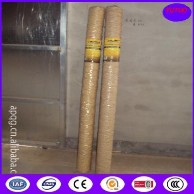 China Hot Dipped Gal Chicken Wire Netting for sale