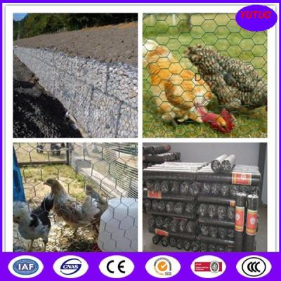 China Corrosion and oxidation resisting wire netting chicken mesh for sale