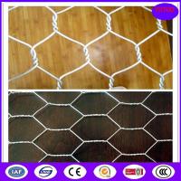 China 1/2'' Hexagonal Wire Netting (Galvanized or Hot-DIP Galvanized, PVC Coated) for sale