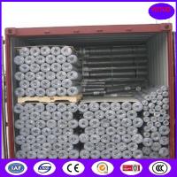 China Plant Protection Hexagonal Wire Mesh for sale
