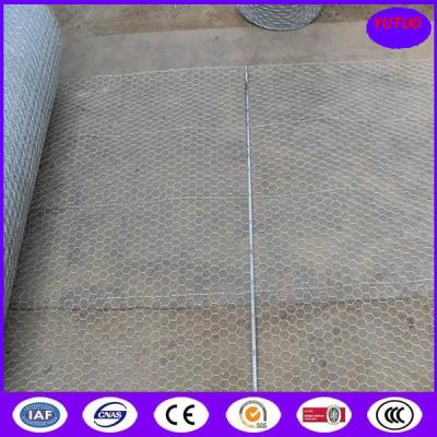 China China Galvanized Hexagonal Poultry Wire Netting in Roll for sale