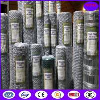 China Galvanized Hexagonal wire mesh/chicken wire mesh from Dingzhou for sale
