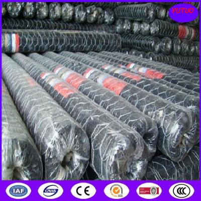 China China Low price of Hot Dipped Galvanized Hexagonal Wire Netting for sale