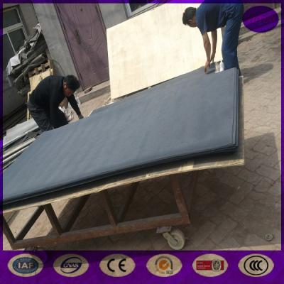 China 10 11 12 14 mesh stainless steel security window screen for sale