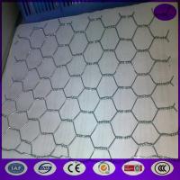 China Rabbit Netting - hexagonal mesh hole 32mm , height : 1050mm for sale