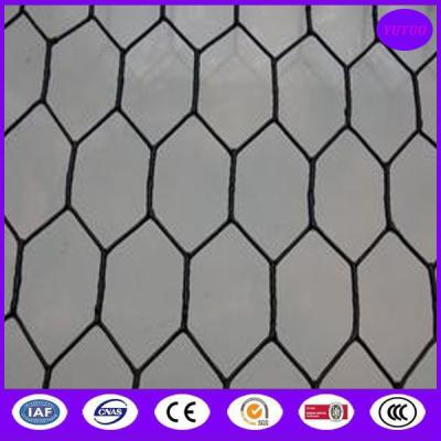 China Black Vinyl Chicken Wire Mesh Panels for  construction for sale